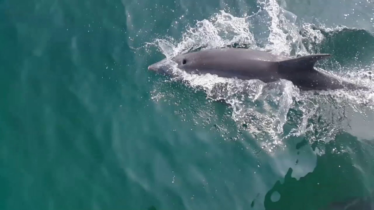 ¿Dónde está la isla del Rey? | Actualizado octubre 2025